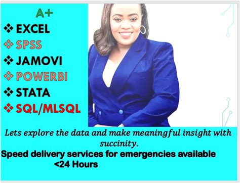 Do Analysis Using Excel Spss Stata Python R Gretl Jamovi And Minitab By Business0001 Fiverr