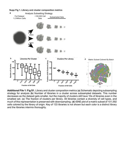 Pdf Identification Of Cell Types In A Mouse Brain Single Cell Atlas