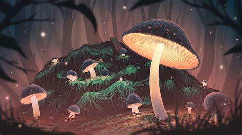 Mushroom Hd Hd Wallpaper Rare Gallery