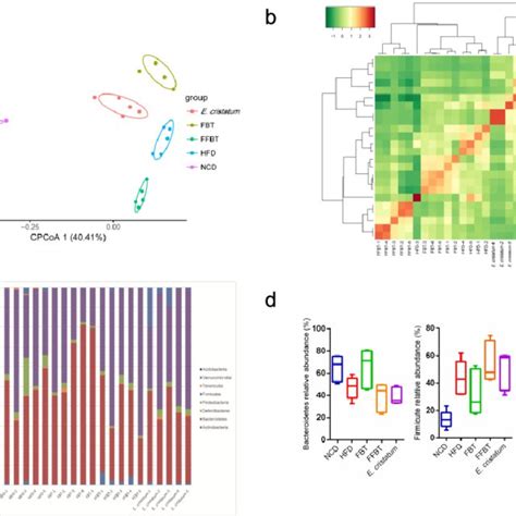 Yong Huang Professor Full Doctor Of Philosophy Research Profile