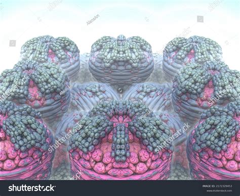 3d Renders Different Fractals Stock Illustration 2172329453 Shutterstock
