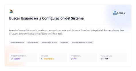 Buscar Usuario En La Configuración Del Sistema Labex