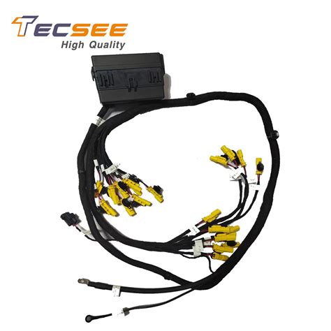 Custom Complicated Automotive Engine Ecm Ecu Connector Wire Harness China Wiring Harness And