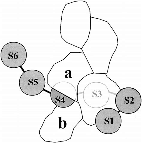 A Model For The Interaction Of Gelsolin With The Actin Filament Our Download Scientific