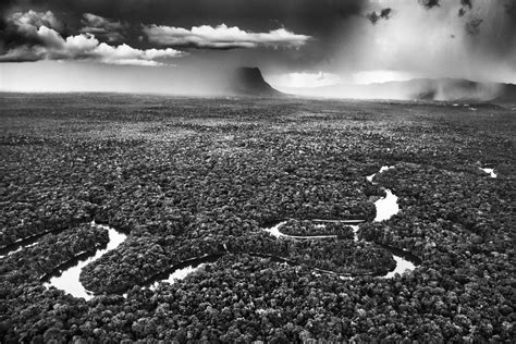 Sebastião Salgado Photographe Polka Magazine