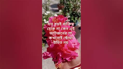 যত বড় ব্যক্তিত্ব হোক না কেন এই আটজনের পা কখনোই ছোঁয়া উচিত নয় Jayshreeram হনুমানজী