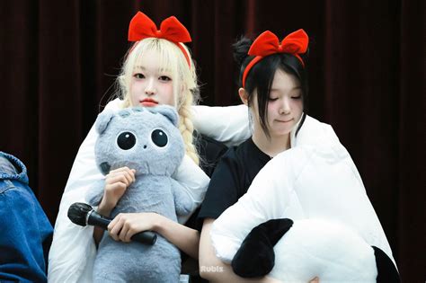 무슨갤이지 연예인잡담 에펨코리아