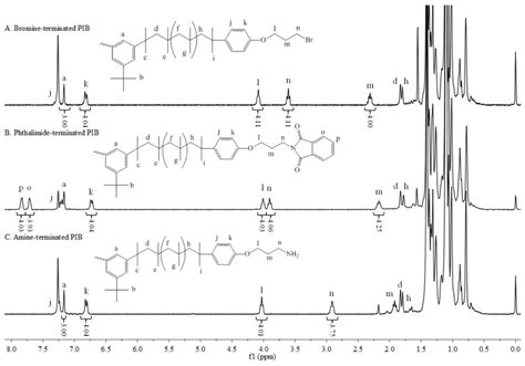 Polyisobutylene Structure