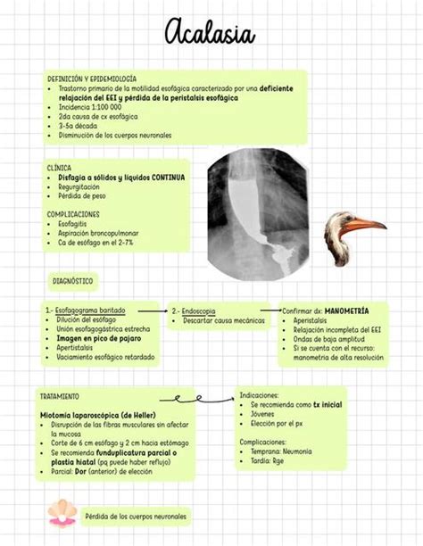 Acalasia Tania Velázquez uDocz