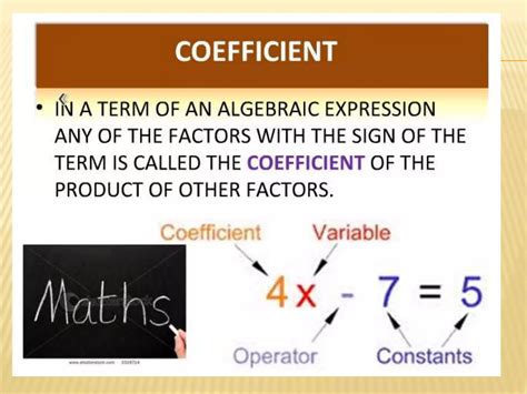 Identifying Parts Of Algebraic Expressions Pptx