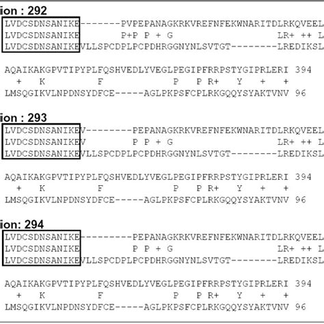 Rps Blast Alignments For Three Consecutive Chimera Sequences The Query
