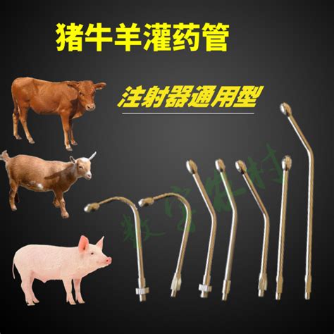 牛羊灌药器射器用投药嘴灌水奶抽油灌肠生病兽医灌布病疫苗驱虫药 虎窝淘
