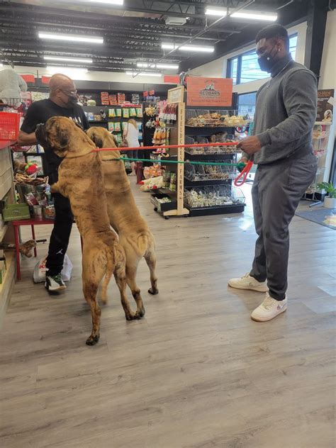 Flo Billy Dropkickbilly Twitter