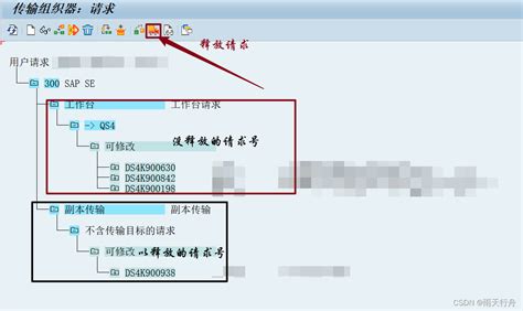 Sap Abap 请求号传递 事务码se09 Stmssap Se09 Csdn博客
