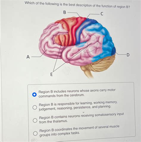 Solved Which Of The Following Is The Best Description Of The