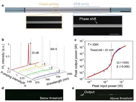 Laser Operation Single Monolithically Integrated Laser A Microscope