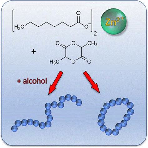 辛酸锌催化的 L 丙交酯开环聚合环状和线性聚L 丙交酯的合成 Journal of Polymer Science X MOL
