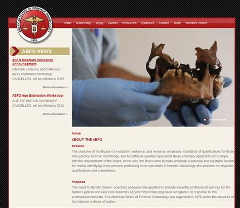 Work Kuztek Wordpress And Laravel Developers From Langley Bc