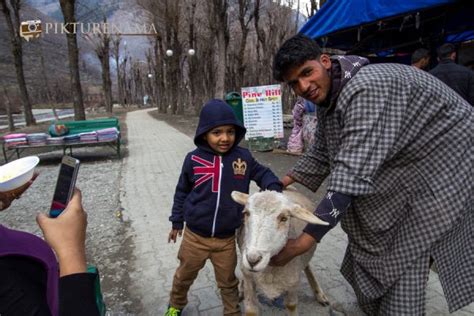 When A Fan Of Amrita Singh Visits Betaab Valley Pahalgam Pikturenama