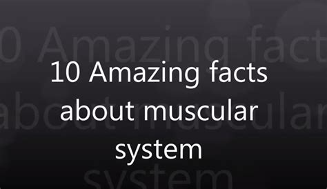 9 Interesting Facts About The Muscular System Hrf