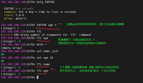 Redis的基本用法快速入门redis怎么使用 Csdn博客
