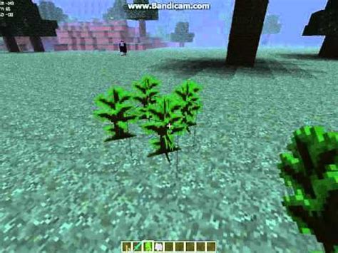 Cum Sa Faci Un Copac Inalt In Minecraft Youtube