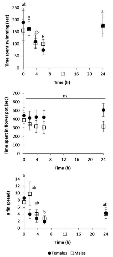 Temporal Trends In Exploratory Behaviour While In A New Environment In Download Scientific