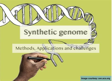 Synthetic Genome Methods Applications And Challenges