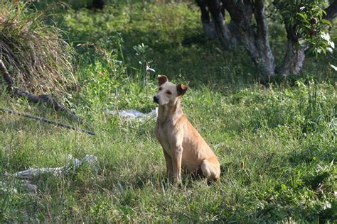 Background Without Watermark Photos Download The Best Free Background Without Watermark Stock