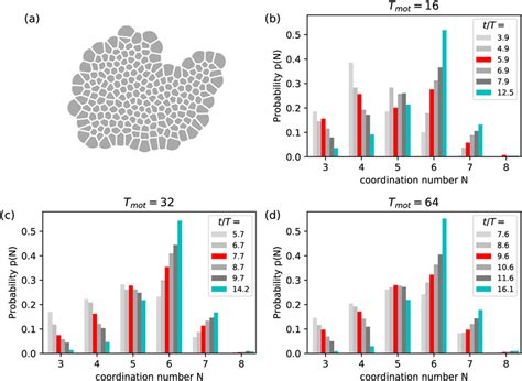 Voronoi Analysis A Voronoi Tessellation Of A Simulation Snapshot Of Download Scientific