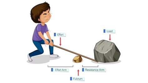 Lever Examples In Everyday Life A Lever Is A Machine Consisting Of A