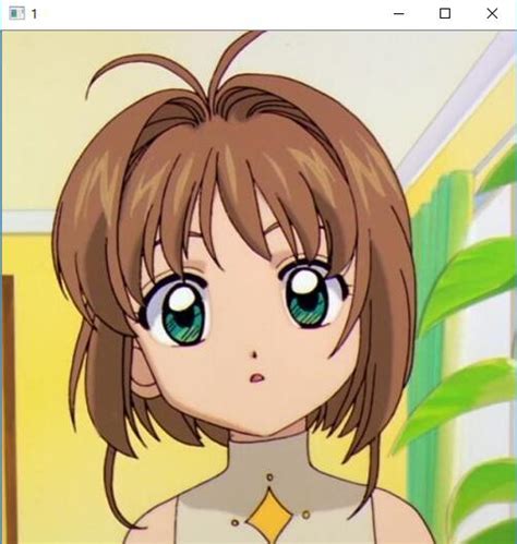 万张pubfig人脸数据实现基于pythonopencv的人脸特征定位程序1 Csdn博客