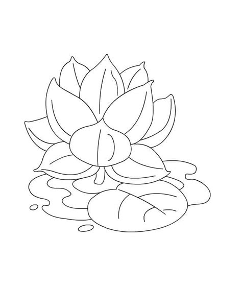 ภาพระบายสีพิมพ์ดอกบัว ดาวน์โหลด พิมพ์ หรือระบายสีออนไลน์ได้ฟรี