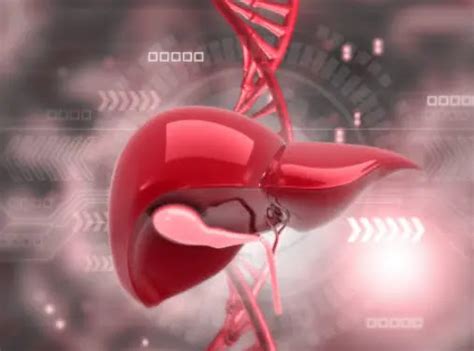 The Crucial Gallbladder Thyroid Connection