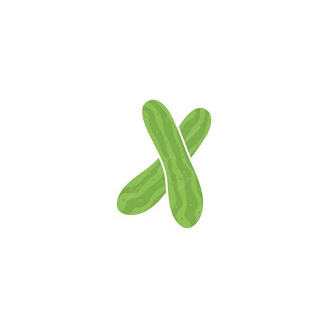 Premium Vector Cucumber Logo Vector Icon Simple Illustration