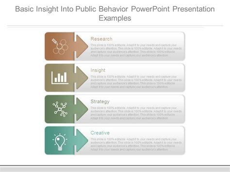 Basic Insight Into Public Behavior Powerpoint Presentation Examples