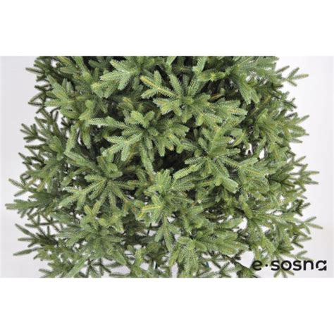 Ялина лита Альпійська 180 см від Українського виробника Смерека