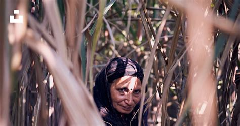 검은 색 긴 소매 셔츠를 입은 여자는 낮 동안 갈색 잔디밭에 서 있었다 사진 Unsplash의 무료 발소나 이미지