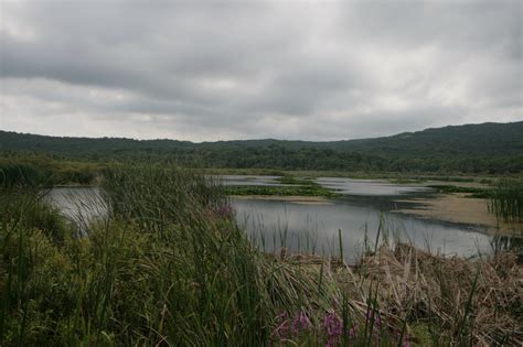Река Ропотамо