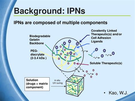Interpenetrating Networks for Delivery Systems - ppt download