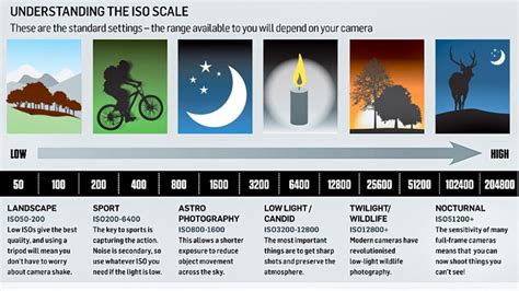 Iso Scale