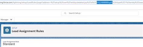 how to re run salesforce lead assignment rules flows and apex sponge