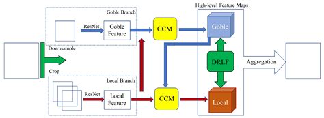 Transform Dual Branch Attention Net Efficient Semantic Segmentation Of