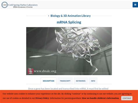 Dna Learning Center Transcription And Translation M Rna Splicing Interactive For 9th 10th