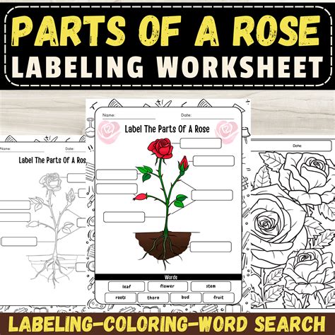 Label The Layers Of The Atmosphere Worksheet Earths Atmospheric Zones Made By Teachers
