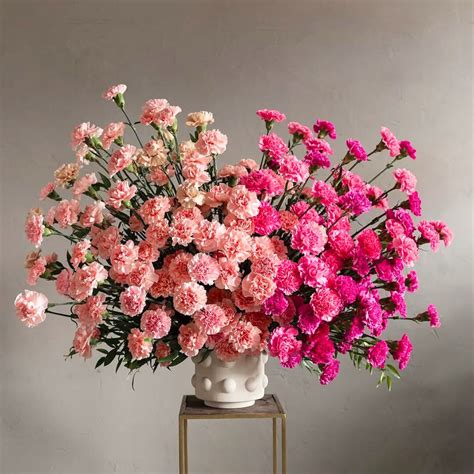 Why Carnations Are The Official Mothers Day Flower