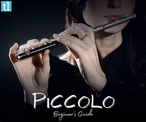 BEGINNER S GUIDE TO LEARNING THE PICCOLO Beginners Guide Piccolo Piccolo Instrument