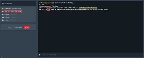 Pterodactyl Network Routing Issue Pterodactyl Panel GitHub