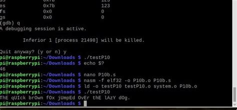 How To Use Stosb In Nasm Segmentation Fault Rasm