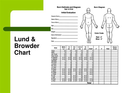 Ppt Initial Care Of Burns Powerpoint Presentation Free Download Id